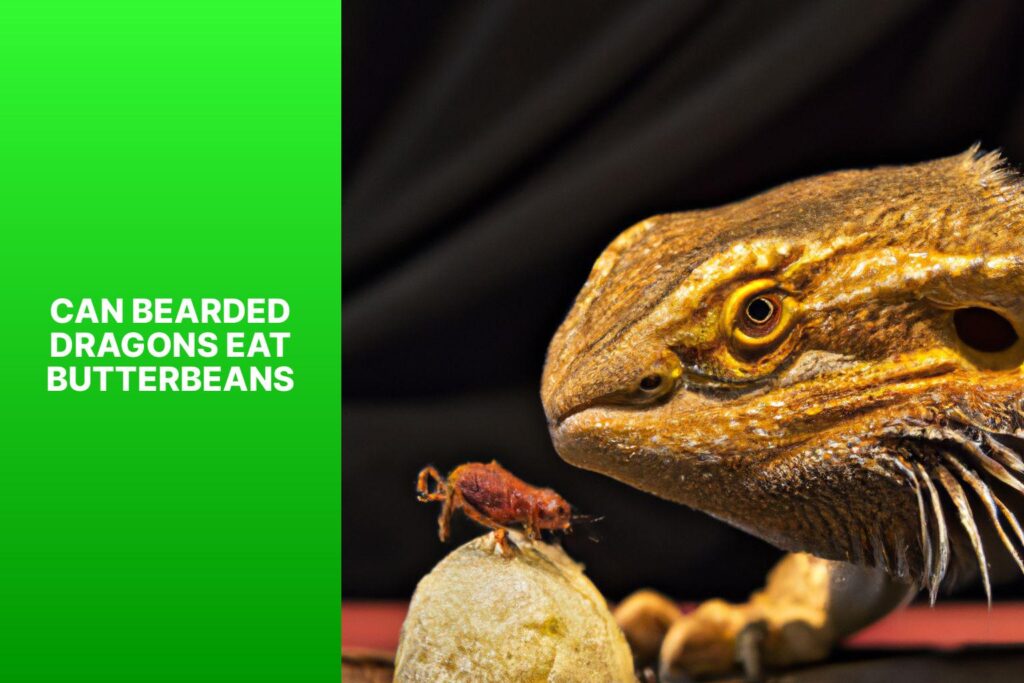Can Bearded Dragons Eat Butterbeans - onlinebeardeddragoncare.com