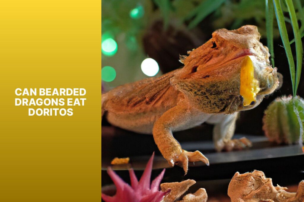 Can Bearded Dragons Eat Doritos - onlinebeardeddragoncare.com