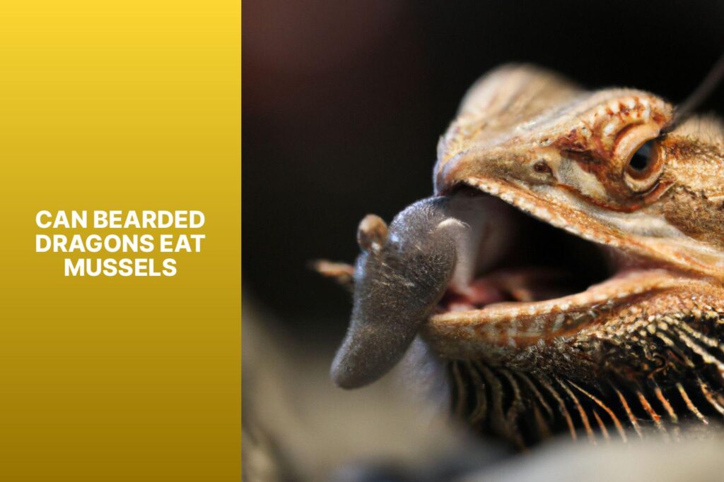 Can Bearded Dragons Eat Mussels - onlinebeardeddragoncare.com