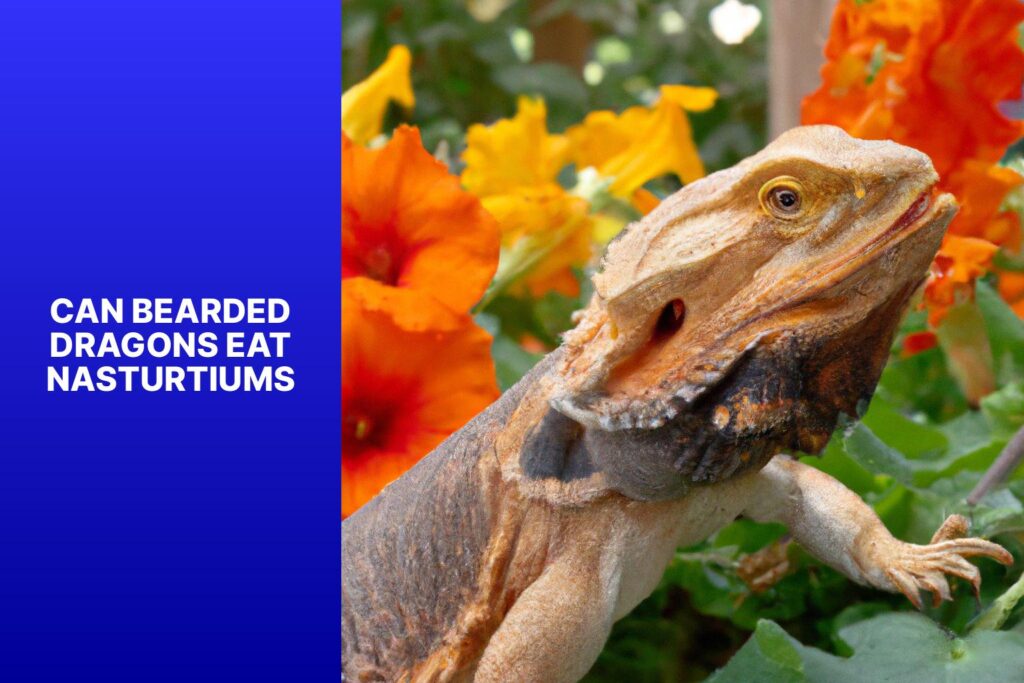 Can Bearded Dragons Eat Nasturtiums - onlinebeardeddragoncare.com