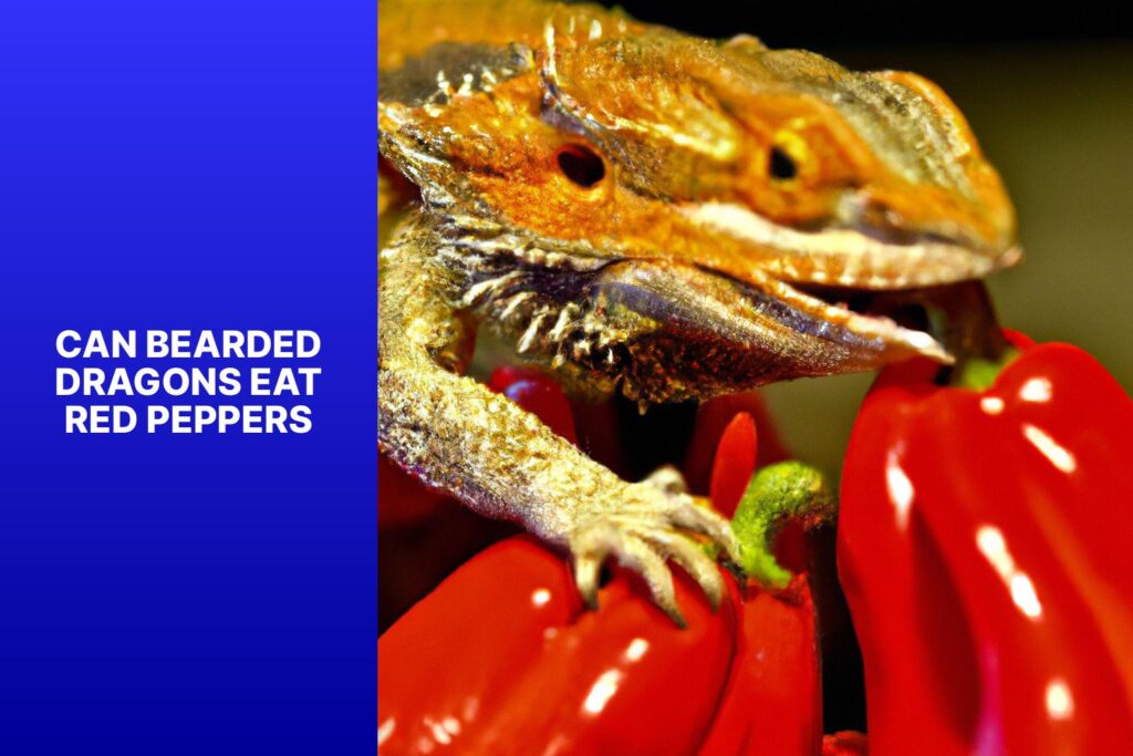 Can Bearded Dragons Eat Red Peppers - onlinebeardeddragoncare.com